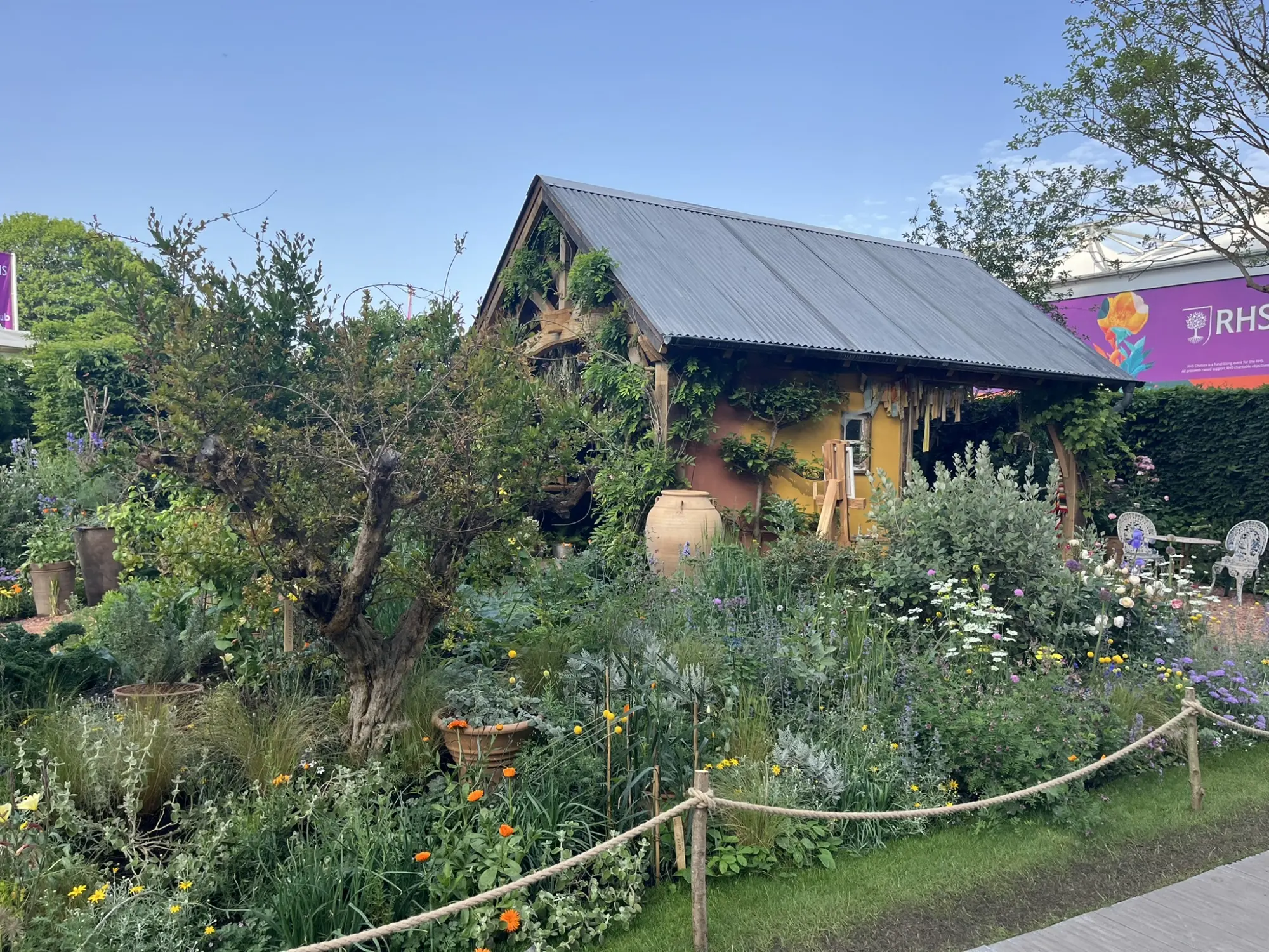 The RHS and The King's Foundation Curious Garden - GardensDB